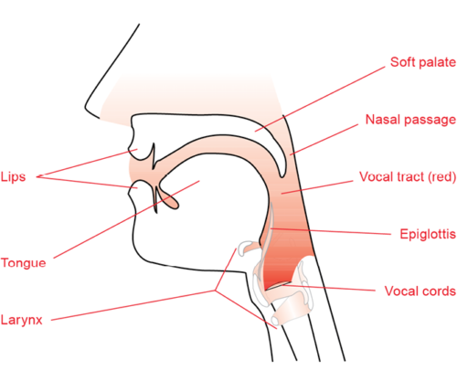 Complete Vocal Technique – Complete Vocal Institute