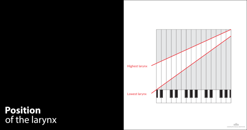 Position of the larynx – Complete Vocal Institute